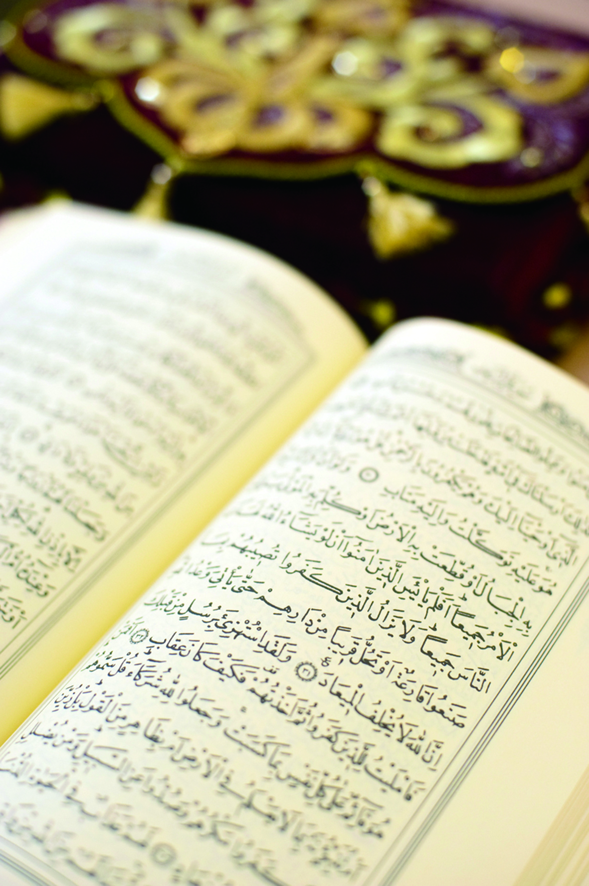 Islamic Finance English Chinese Definition Law asia Islamic Finance English Chinese Definition Law asia